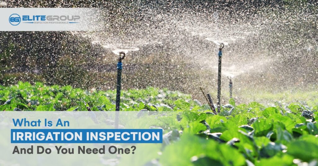 What is an irrigation inspection, and do you need one