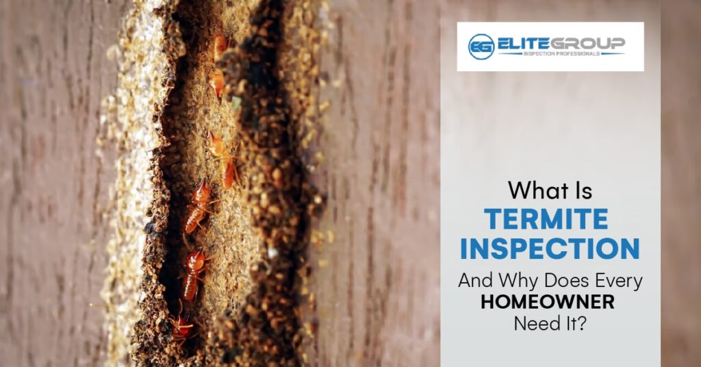 What Is Termite Inspection, And Why Does Every Homeowner Need It
